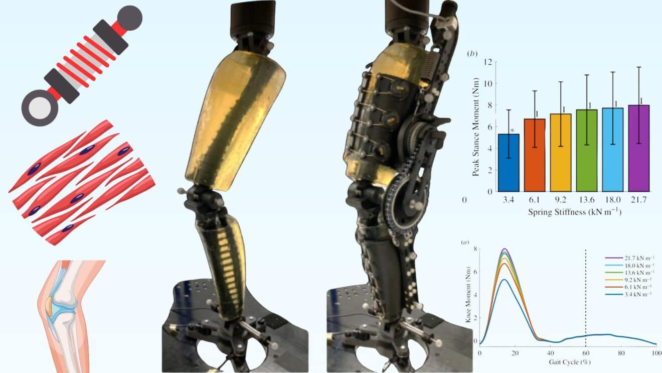 Soft Exoskeletons and Exosuits Technology Exoskeleton Report